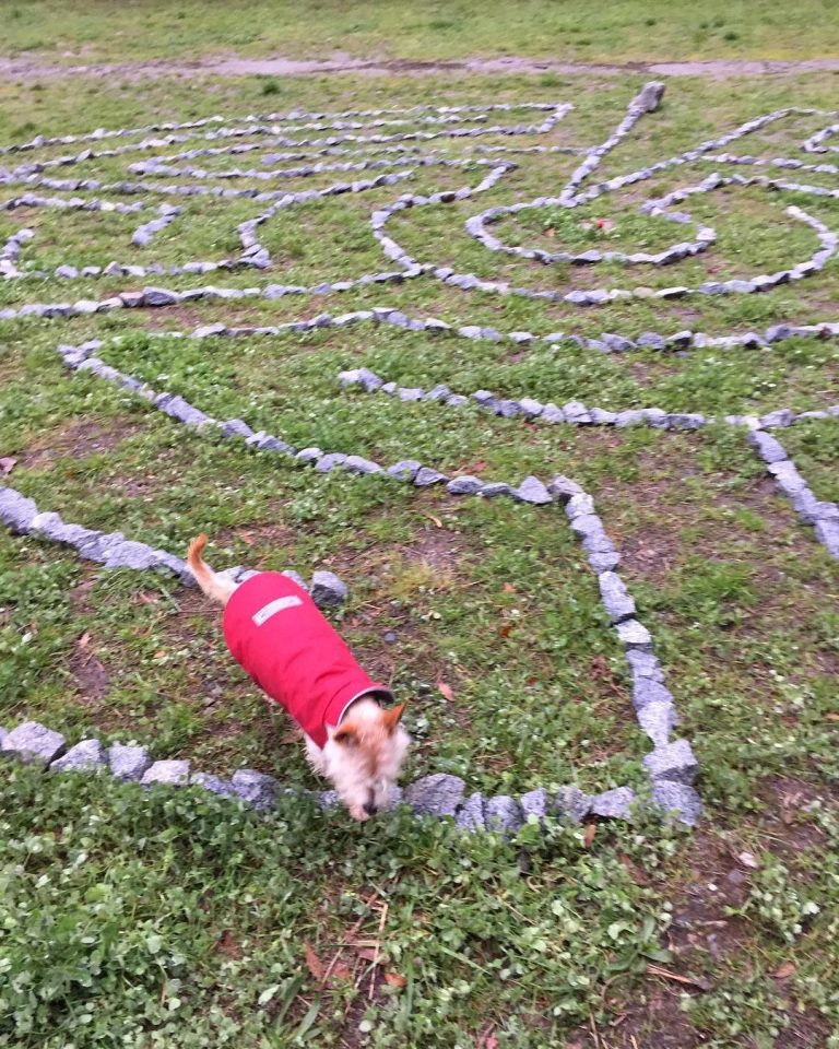 “Checking out this maze(?) behind the Olympic Village Station” – Fergus ...