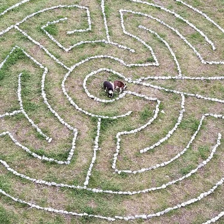 “Maze masters!” – Ramsay and Nitro – Spyglass Place Labyrinth ...