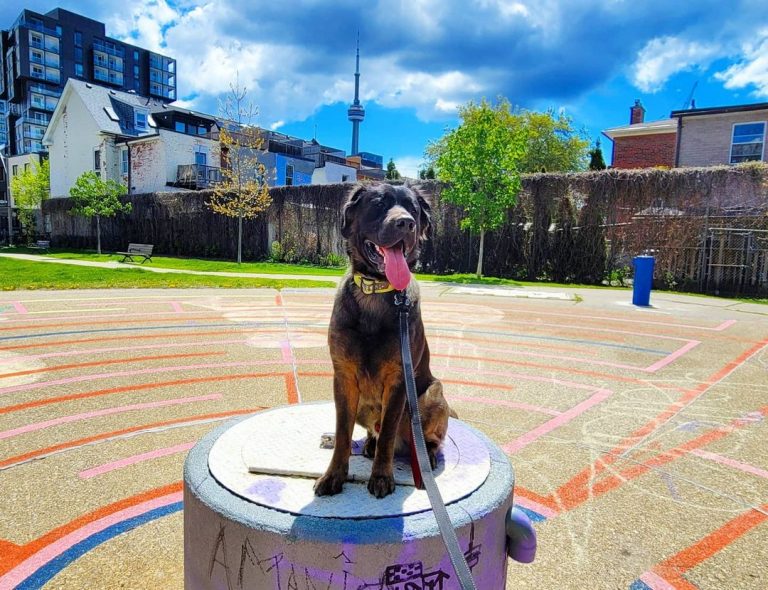 Inti Norbert atop the Water Pump – Labyrinth – Wading Pool – Randy ...